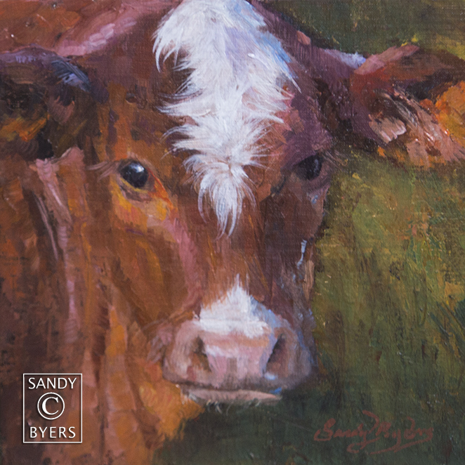 Animals (archive) – sandy byers