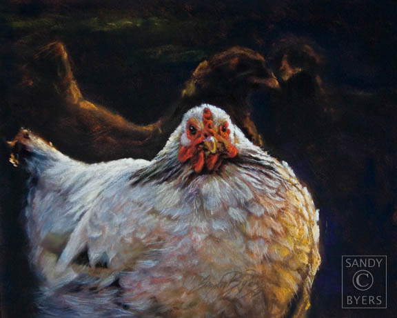 Animals (archive) – sandy byers