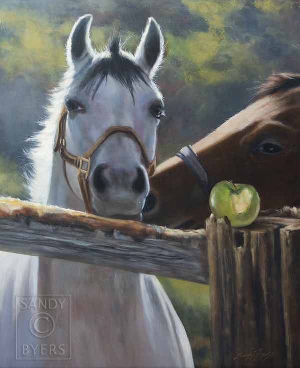 available – sandy byers