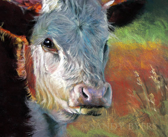 sandy byers – paintings of my life