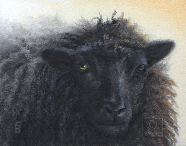 Animals (archive) – sandy byers