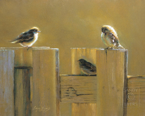 Animals (archive) – sandy byers